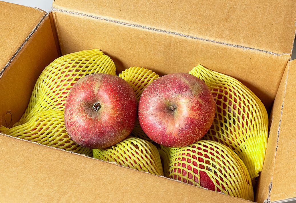 GAP 청송 부사사과 2.5kg - 못생겨도 맛있다 어글리어스