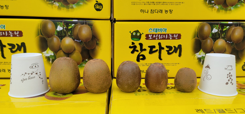 GAP 그린/골드 키위 3kg - 못생겨도 맛있다 어글리어스