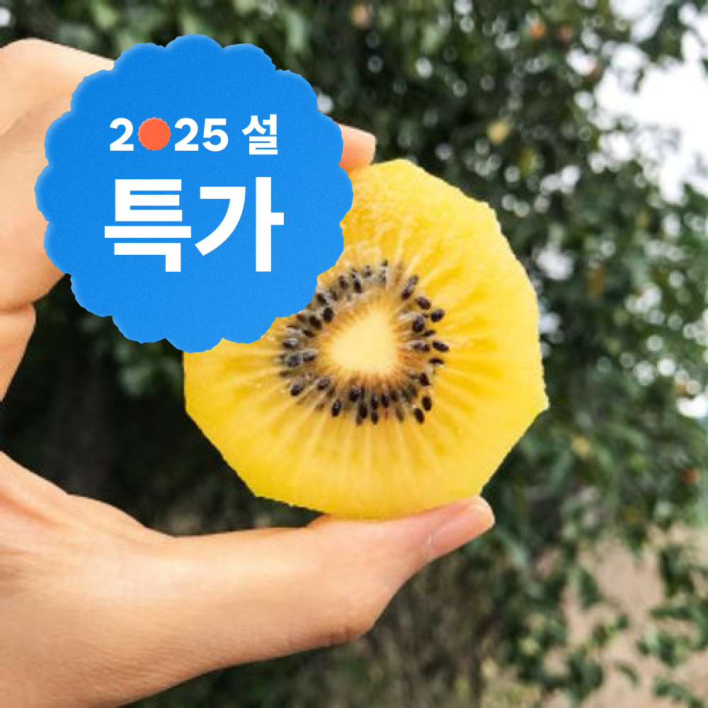 GAP 그린/골드 키위 3kg - 못생겨도 맛있다 어글리어스