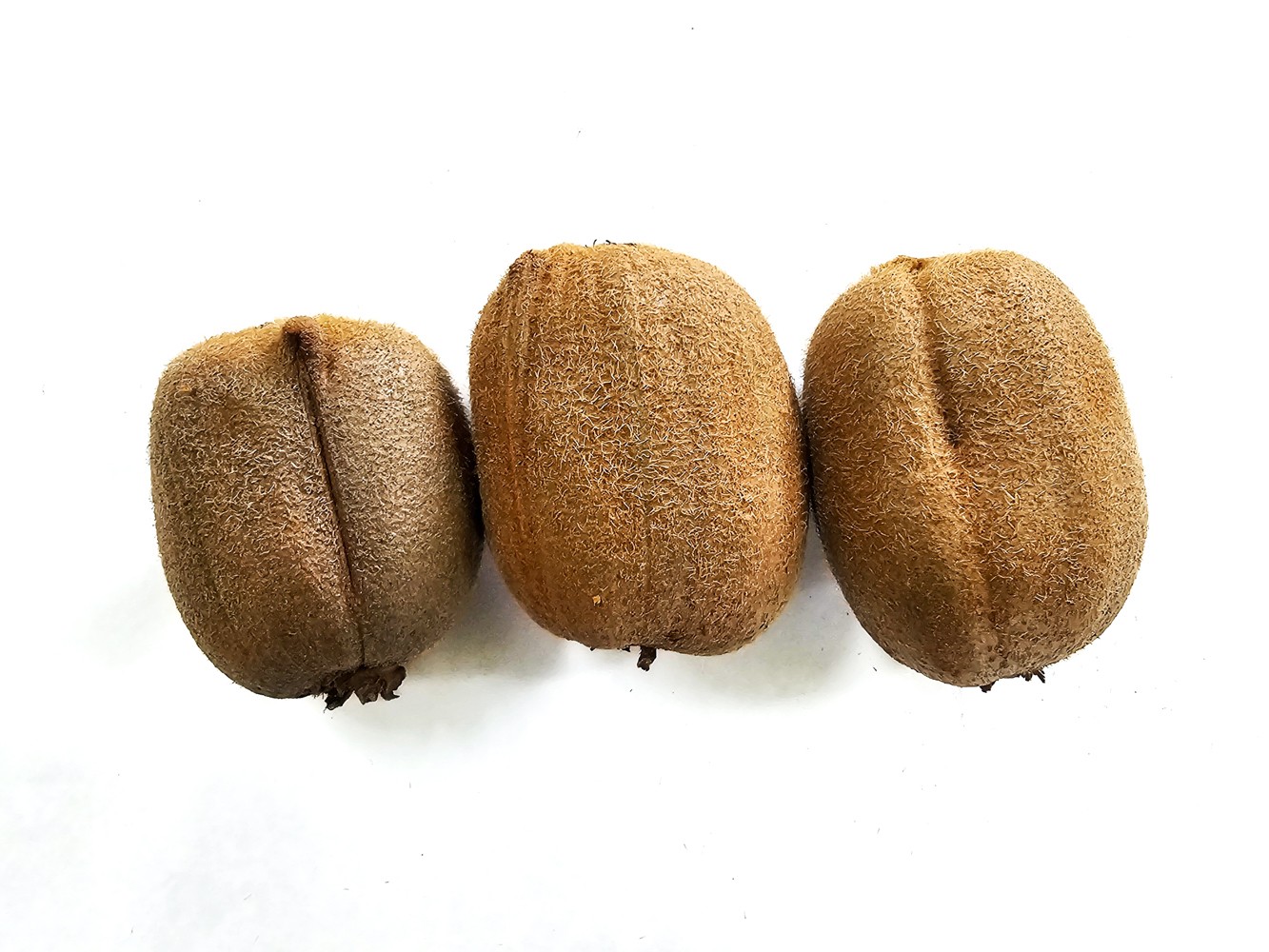 GAP 그린/골드 키위 3kg - 못생겨도 맛있다 어글리어스